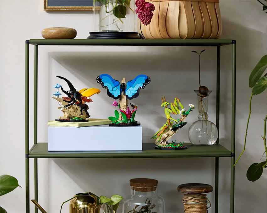 Lego Ideas 21342 - Collezioni insetti - Mattoncini.net