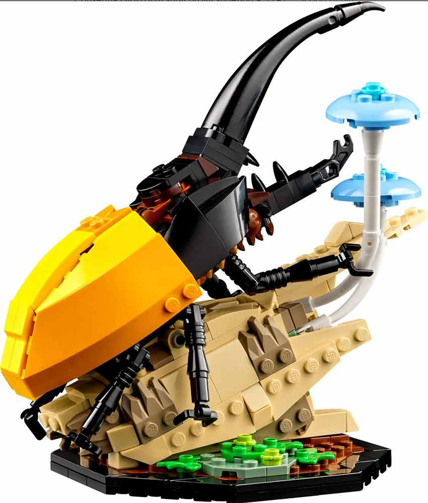 Lego Ideas 21342 - Collezioni insetti - Mattoncini.net